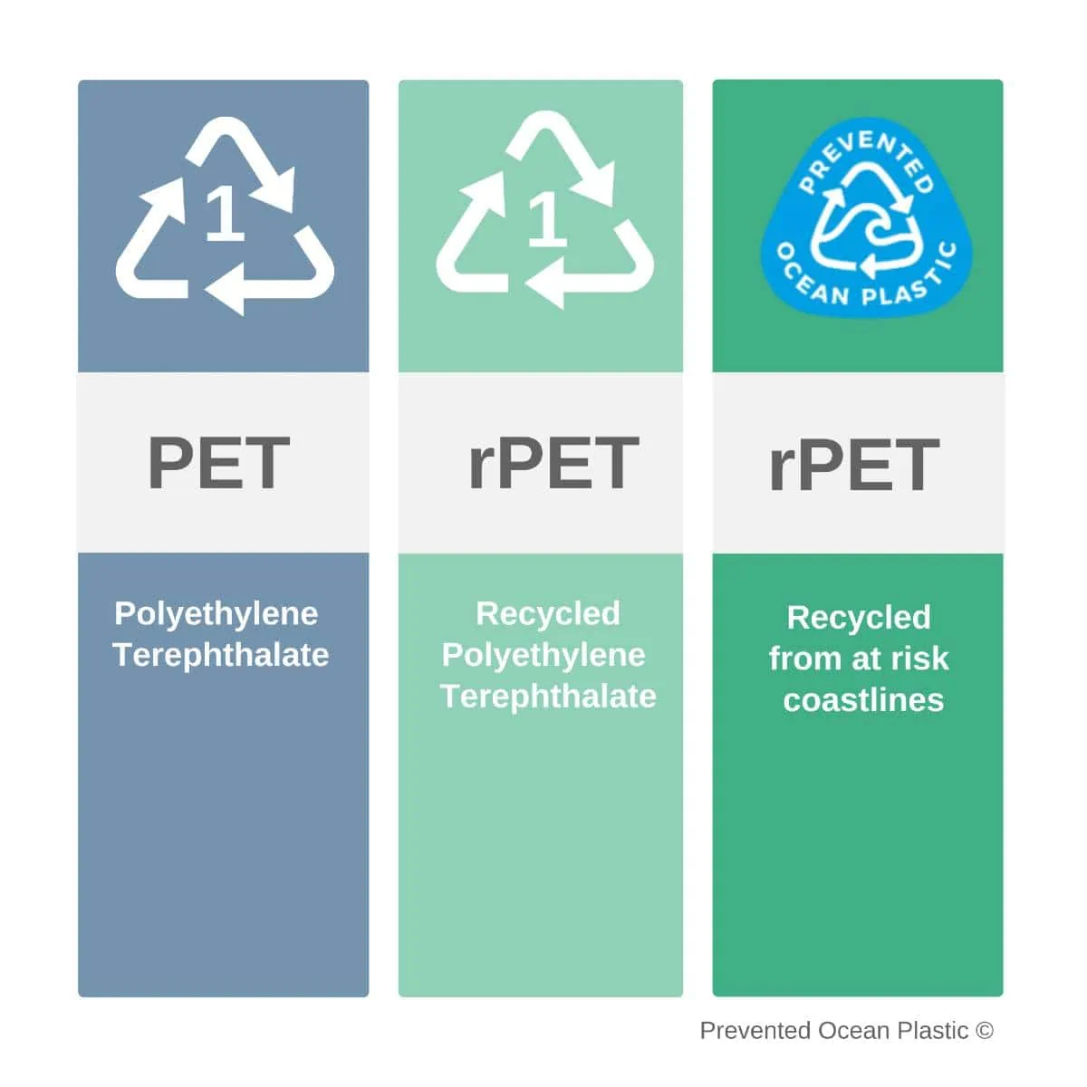 The Future of Sustainable Packaging: Exploring rPET Solutions - Surya ...